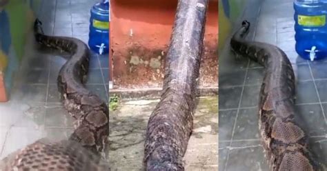 ലകതതല ഏററവ വലയ പമപ അനകകണടയലല ഇവനണ ആ ഭകരൻ വഡയ സഷഅയല മഡയയല