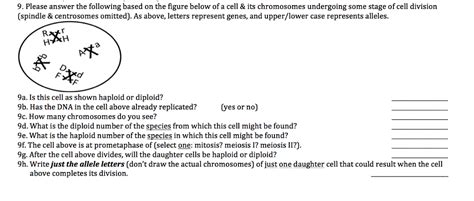 Solved Please Answer The Following Based On The Figure Chegg Com
