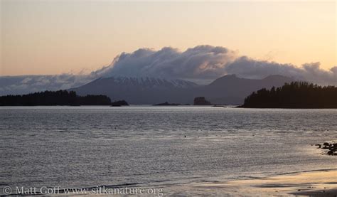 Continuing Sun Full Moon Sitka Nature