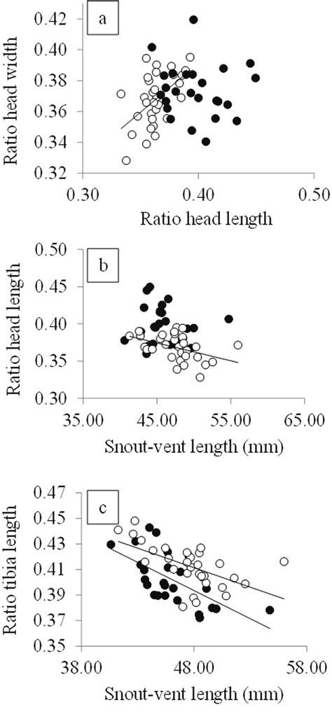 Linear Regressions For Morphological Traits Of Male Black Circles And