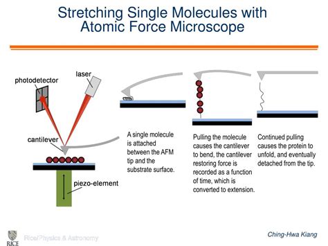 Ppt Single Molecule Manipulation Experiments Of Biological Molecules I Introduction And