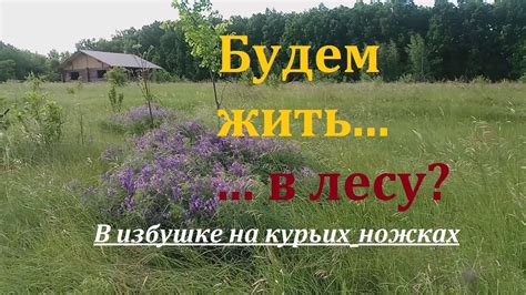 Построил дом в лесу Выбор участка Вылазка в город Обзор новостей Последняя трагедия Ефремова