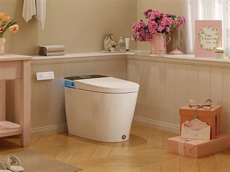 Mothers Day Ts For Mom Save 20 On Horow Smart Toilets With Coupo