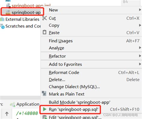 Idea运行sql文件的操作步骤idea运行sql文件 Csdn博客 Idea运行sql文件的操作步骤idea运行sql文件 Csdn博客