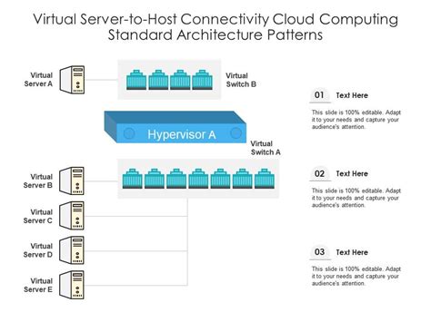 virtual server to host connectivity cloud computing standard