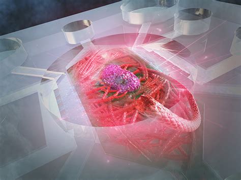 Scientific Cover Picture Illustration Services Lab On A Chip 21 February 2024 Issue 4