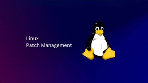 future proof your systems effective linux patch management strategies