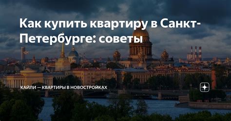 Как купить квартиру в Санкт Петербурге советы Кайли — квартиры в новостройках Дзен