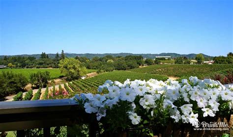 These 5 Healdsburg Wineries Deserve Your Attention Drink Me Magazine