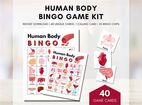 juego de bingo de anatomía del cuerpo humano órganos del cuerpo