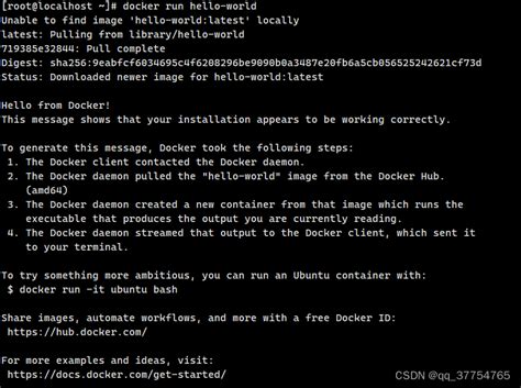 docker run时出现no such host问题的解决方法 csdn博客