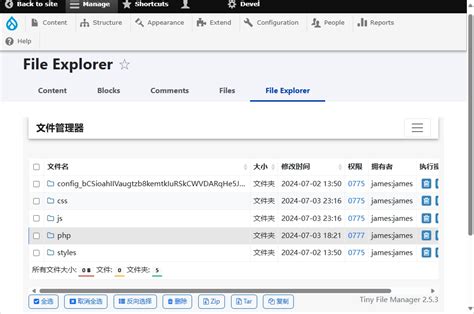 tiny file manager