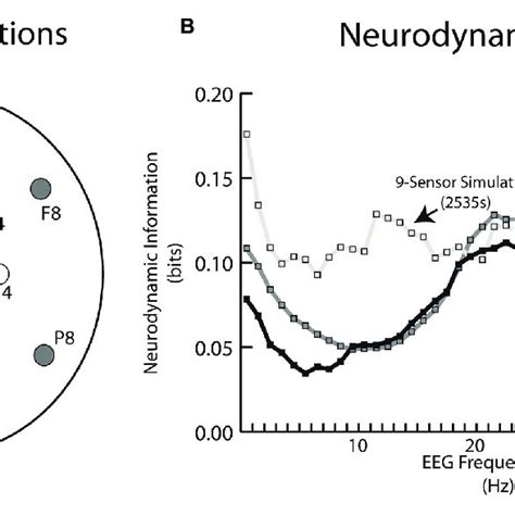 A Schematic Of Eeg Sensor Placement Looking Down On The Scalp For