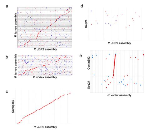 Comparative Genomics For Aligning P Larvae Contigsmummer Generated
