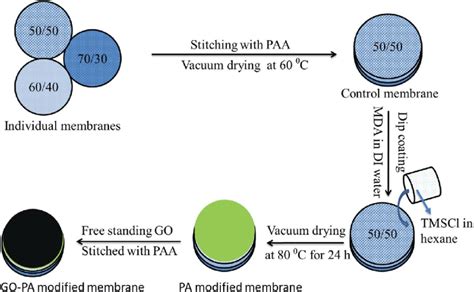 Schematic Representation Of Fabricating The Go Pa Modified Membrane Download Scientific