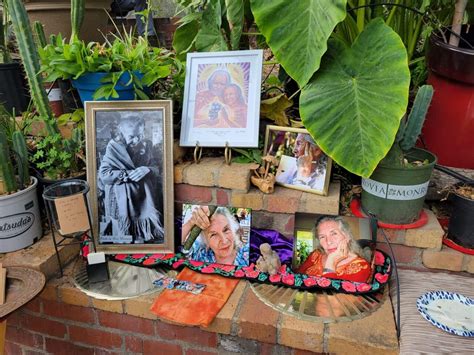 Celebrating Ann Shulgins Legacy In Community Synergetic Press