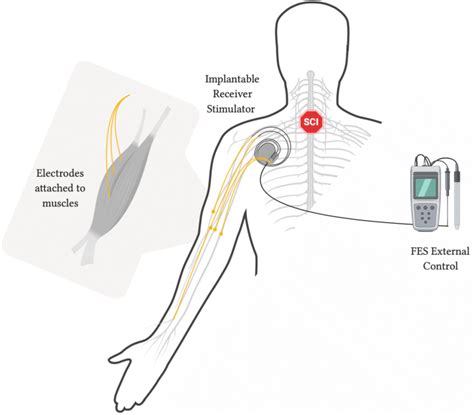 Military Institute Of Science And Technology Mist