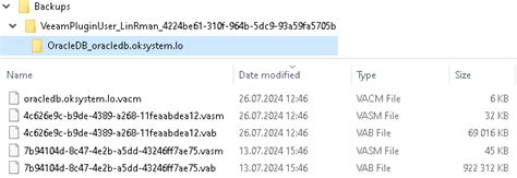 veeam backup and replication oracle database backup samuraj