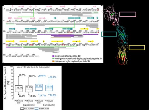 Peptide Coverage Map Of Human Sirpα With And Without Additional