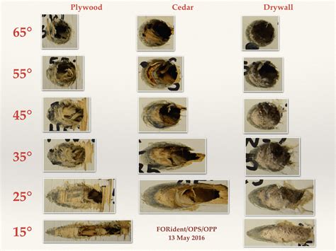 Mmdet Instance Segmentation Dataset By Anastasis Papanagnou