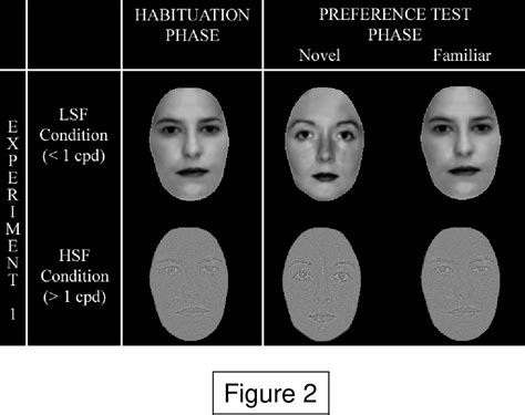 Figure 2 From Newborns Face Recognition Is Based On Spatial Frequencies Below 05 Cycles Per