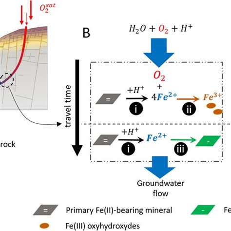 Conceptual Model For The Transport And Reactivity Of Dissolved Oxygen