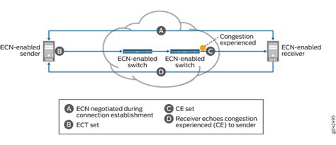 Cos Explicit Congestion Notification Ecn Junos Os Juniper Networks