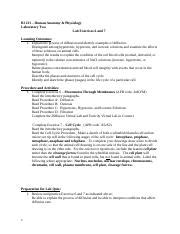 BI Lab Online Docx BI Human Anatomy Physiology Laboratory Two Lab