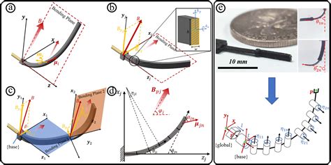 Figure 1 From Design And Modeling Of A Multi Dof Magnetic Continuum Robot With Diverse
