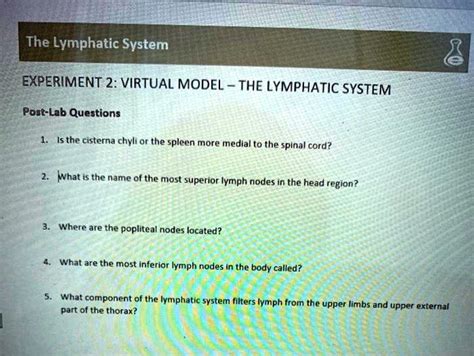 SOLVED The Lymphatic System EXPERIMENT 2 VIRTUAL MODEL THE LYMPHATIC SYSTEM Post Lab