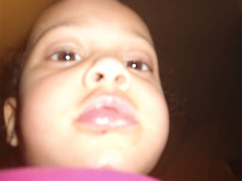 Dsc00438 Cynthia Ramer Flickr