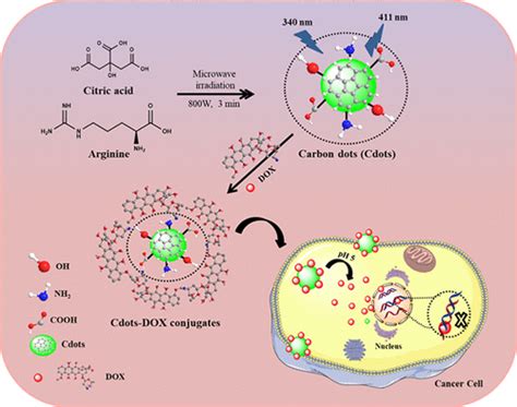 Tuning The Luminescence Of Microwave Assisted N Doped Fluorescent Carbon Dots Bioimaging