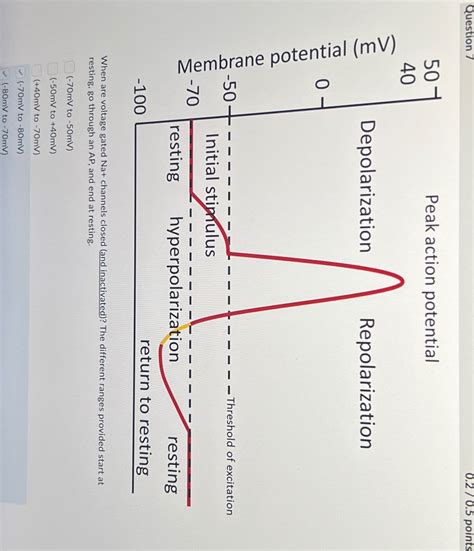 Answered Question 7 50 40 40 Peak Action… Bartleby