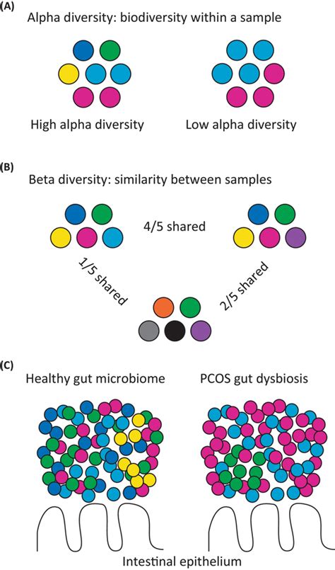 Sex Microbes And Polycystic Ovary Syndrome Pmc