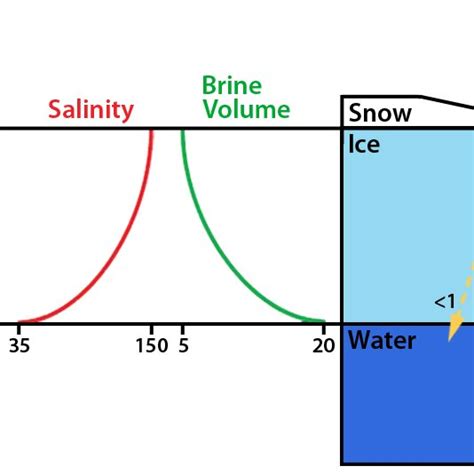 1 Gradients Of Temperature • C Salinity Ppt Brine Volume Of Download Scientific