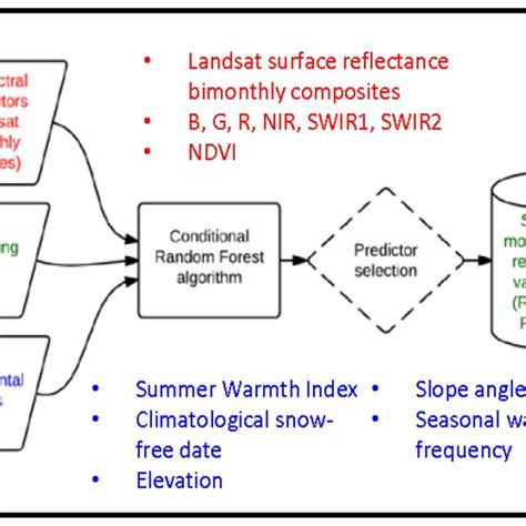 overview of random forest modeling process to predict cover of plant