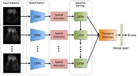The Proposed Architecture For Lus B Line Detection And Spatiotemporal