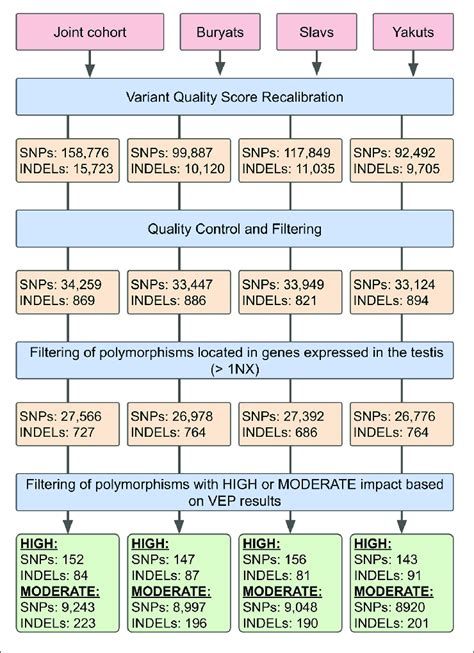 Whole Exome Genotype Data Filtering Pipeline Download Scientific