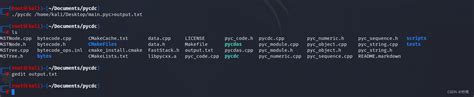 Kali2023上pycdc的安装与使用教程 Csdn博客 Kali2023上pycdc的安装与使用教程 Csdn博客