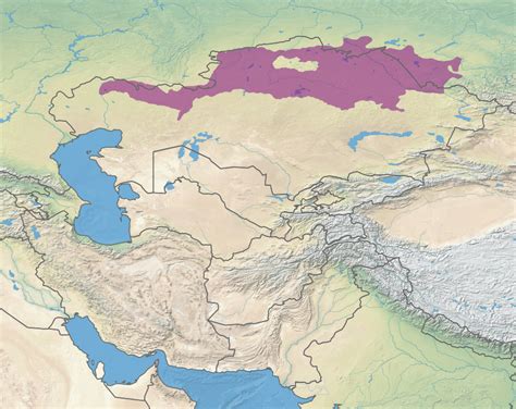 Kazakhstan Uzbekistan And Turkmenistan Guest Hollow