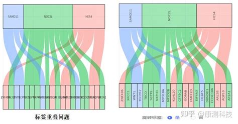 这种数据流动可视化方法,让展现组分之间关联更“鲜活”和富有“视觉冲击力” 知乎 这种数据流动可视化方法,让展现组分之间关联更“鲜活”和富有“视觉冲击力” 知乎