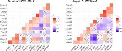 Hierarchical Clustering And Correlation Among Internode Lengths Height
