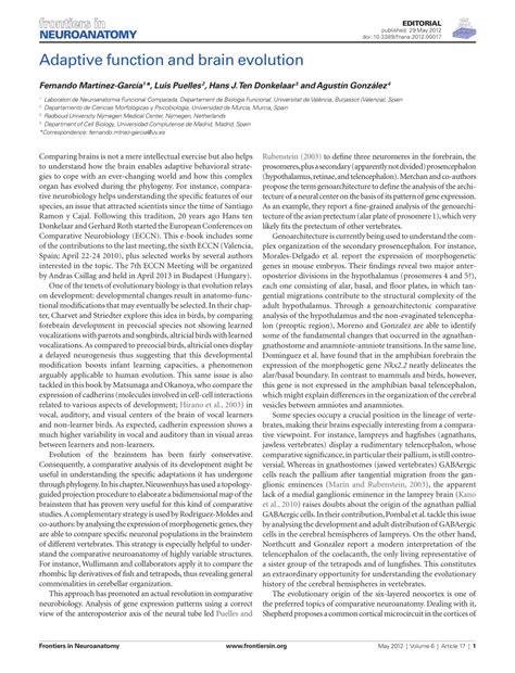 Pdf Adaptive Function And Brain Evolution