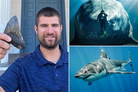 Megalodon Not Quite As Mega As Scientists And ‘the Meg Filmmakers