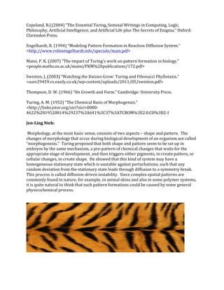 Turing Fibonacci Numbers PDF Biological Sciences Science