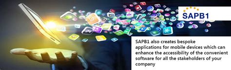 Sap B1 Singapore On Tumblr