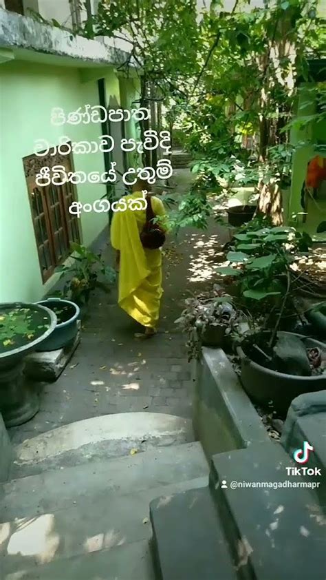 පිණ්ඩපාත චාරිකාව පැවිදි ජීවිතයේ උතුම් අංගයක් Youtube