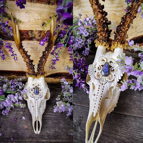 Deer Skull Art Etsy