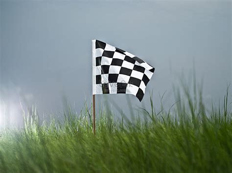 체크 무늬 배너 사진 무료 다운로드 Lovepik