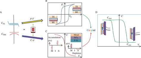 The Designed Ferroelectric Memcapacitor And Its Cv Property A Download Scientific Diagram